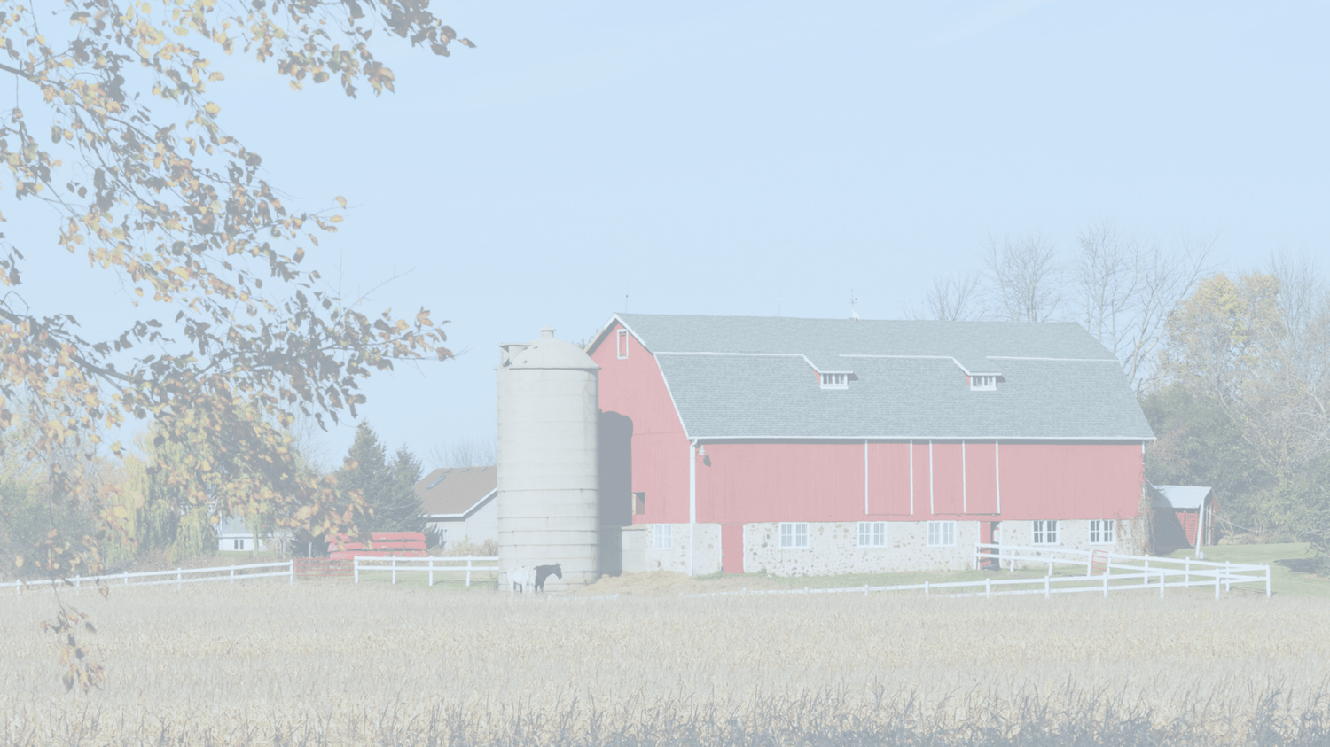 Ontario Federation of Agriculture Store